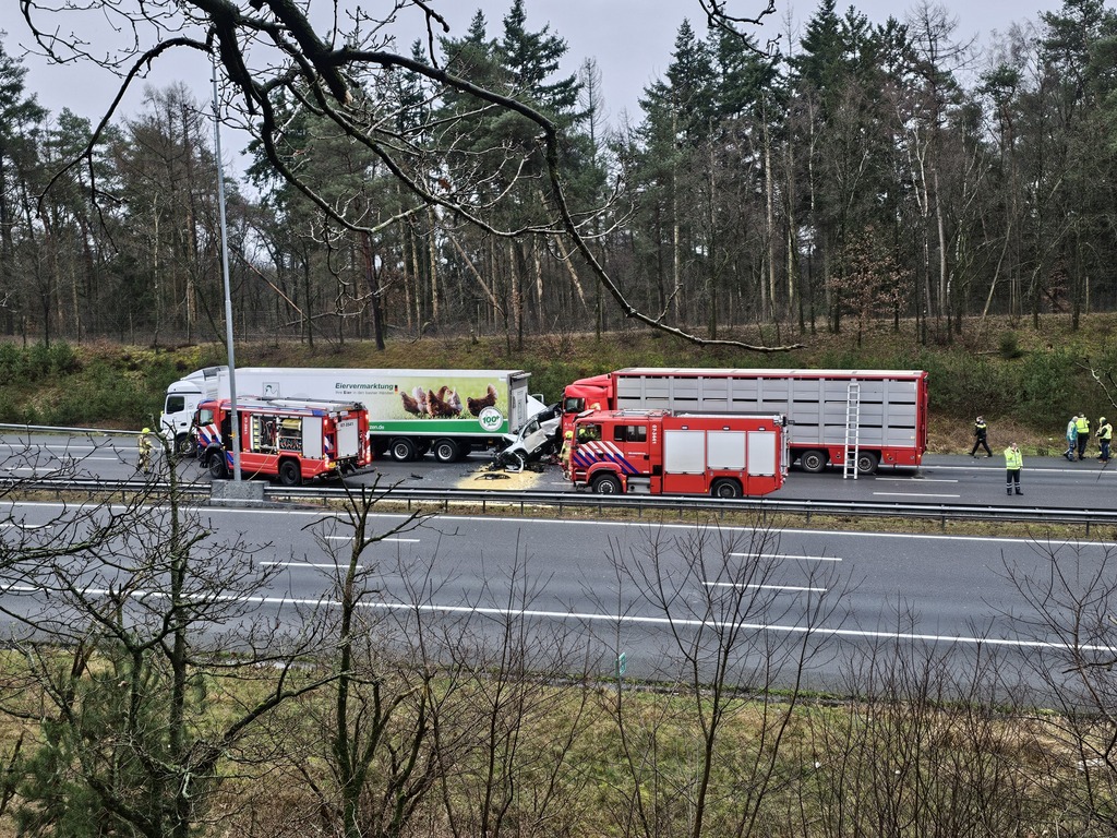 Foto's: Dode en drie gewonden bij zeer ernstig ongeluk op A50 - 112Vandaag