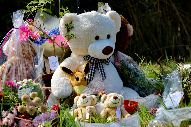 OM weet nog steeds niet zeker wie verdachte is van moord op Lisa (17) - 112Vandaag