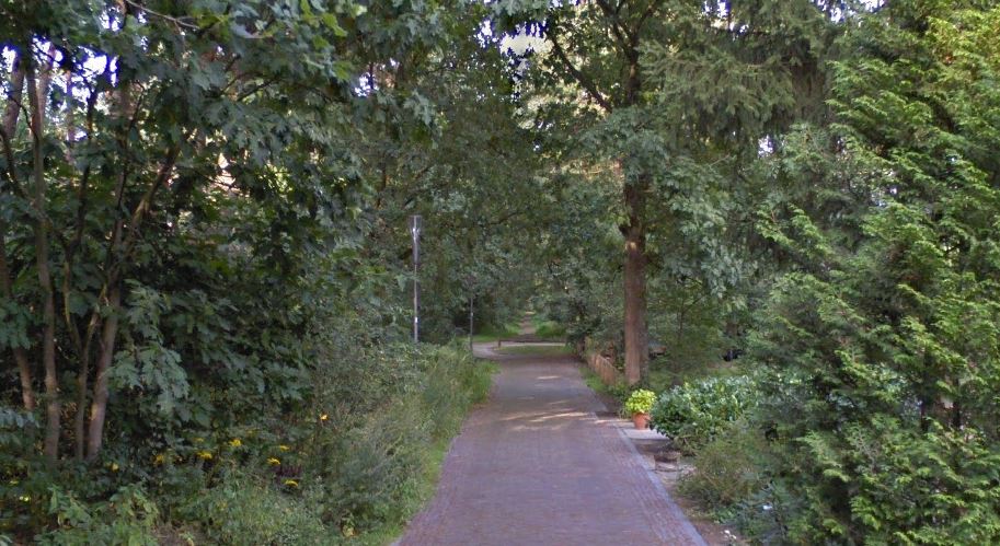 Zeer ernstig zedenmisdrijf in bos - 112Vandaag